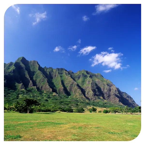 Honolulu Financial Advisors - 2,000+ Families Served - The Retirement ...